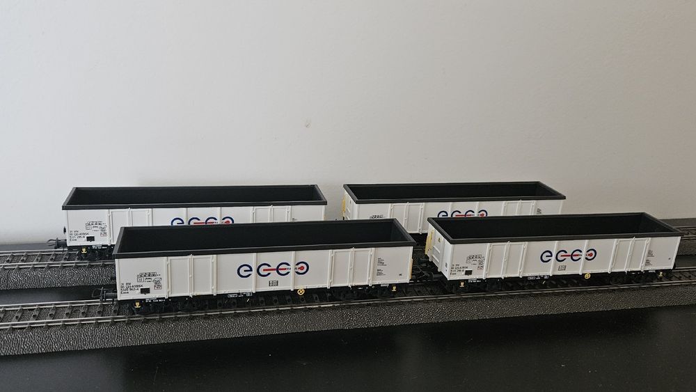 Roco 76731 Eccorail Eaos (Gebraucht) in Dulliken für CHF 60 – mit Lieferung auf Ricardo kaufen
