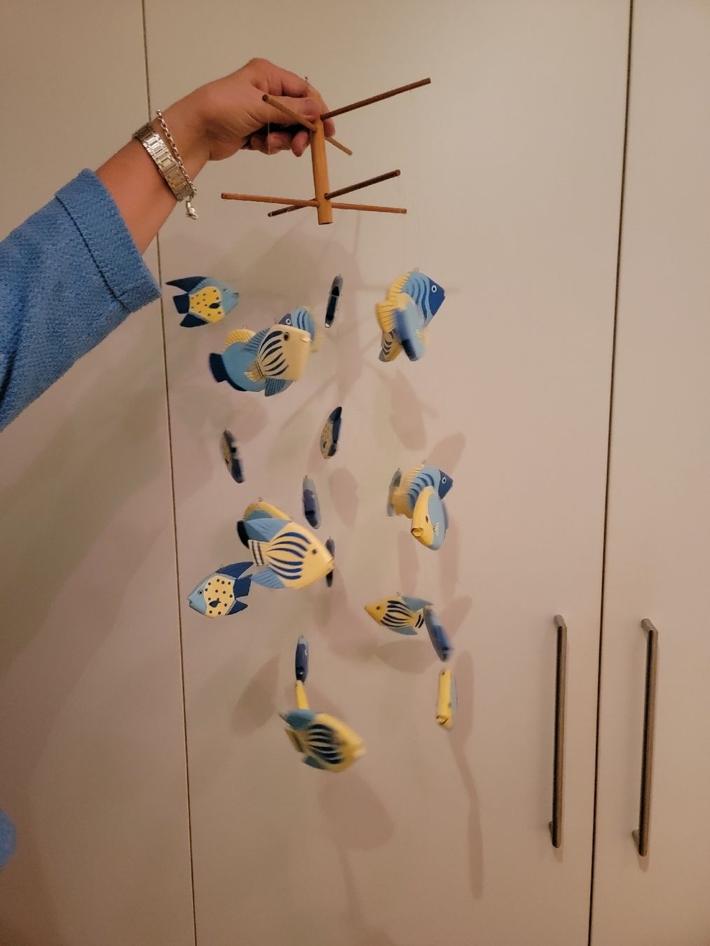 Fisch Mobilet (Gebraucht) in Haag (Rheintal) für CHF 10 – mit Lieferung ...
