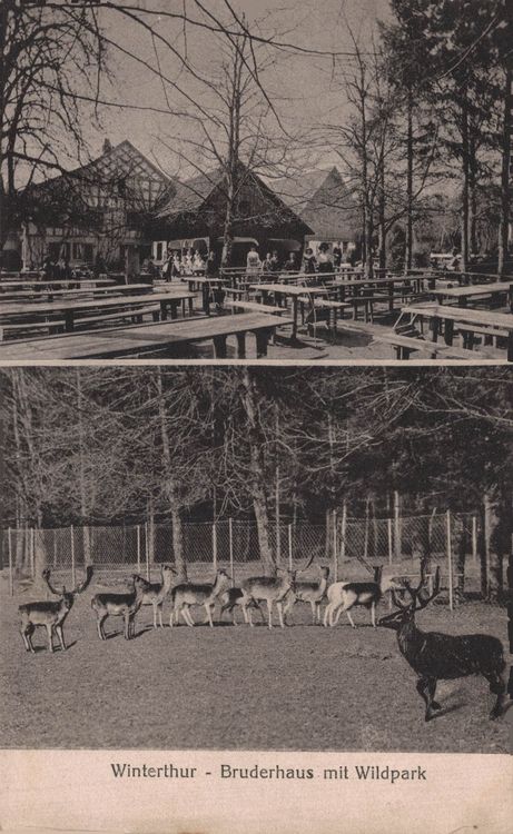 Winterthur - Bruderhaus mit Wildpark (Gebraucht) in Bronschhofen für CHF 10 – mit Lieferung auf ...