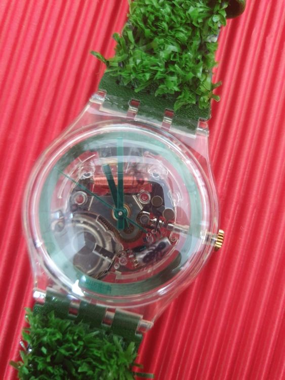 SWATCH SKZ103 GARDEN TURF NEU (Neu und originalverpackt) in für CHF 25 ...