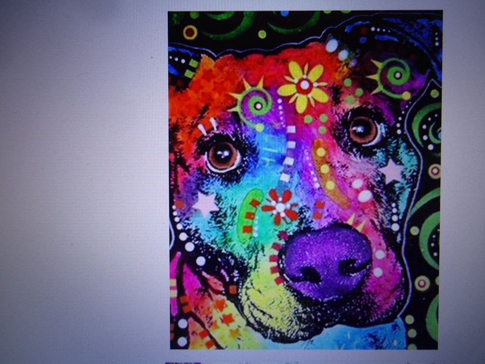 neu! Malen nach Zahlen, 40 x 50 cm, alles dabei + Rahmen (Neu (gemäss Beschreibung)) in Schüpfen ...