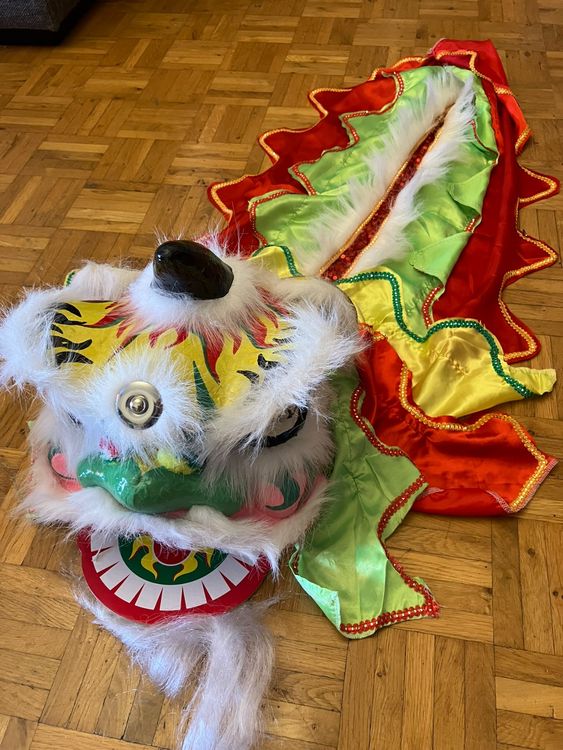 Drache China, Maske, Kostüm Fasnacht Karnevl Fasching (Gebraucht) in ...
