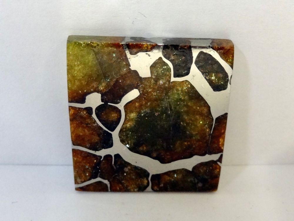 Meteorit PALLASIT Eisen-Stein-Meteorit IMILAC CHILE (Neu (gemäss ...