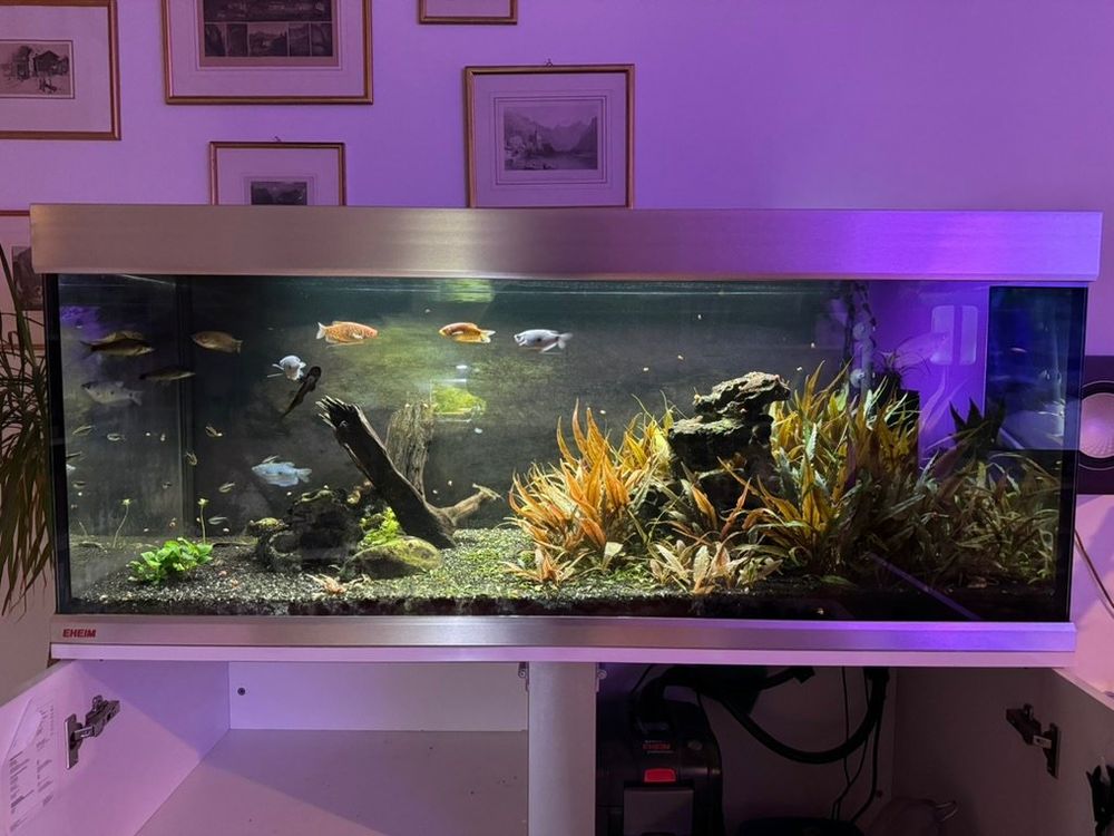 Aquarium mit Schrank - EHEIM Proxima 325 Komplett (Gebraucht) in Zürich für CHF 800 – nur ...