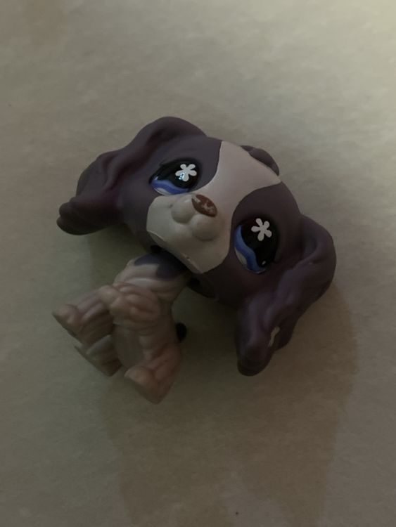 Littlest pet shop cocker spaniel (Gebraucht) in Zuchwil für CHF 20 ...