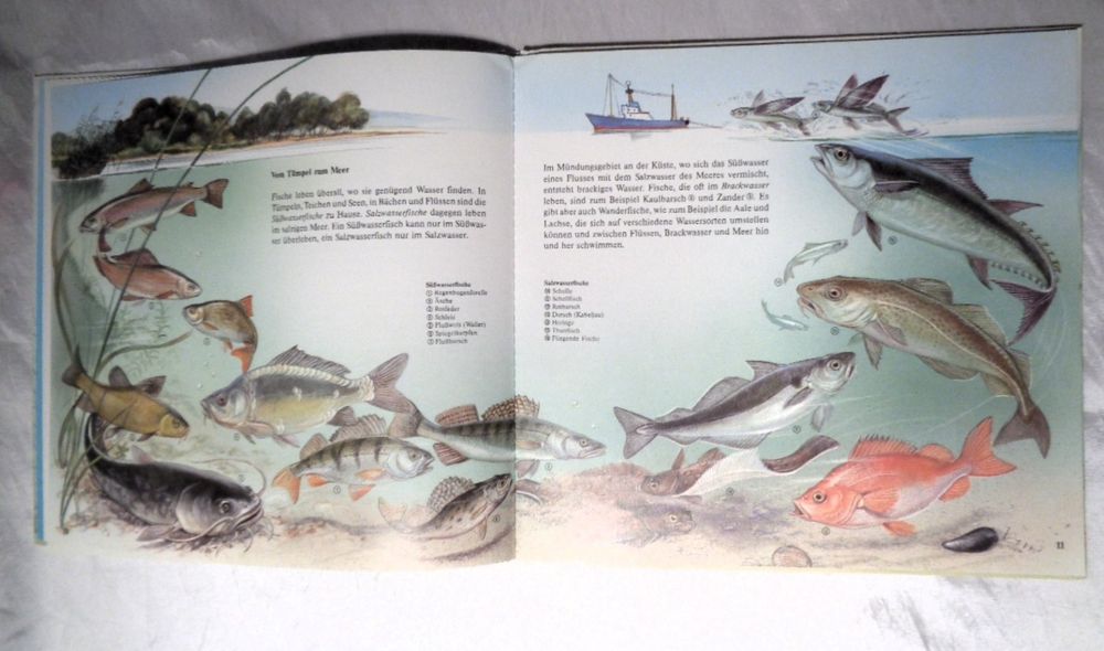 Die Fisch -Uhr Natur-Sachbilderbuch /Fische + Wasserpflanzen | Kaufen ...