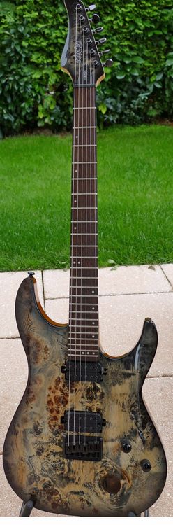 Schecter C-6 PRO (Gebraucht) in Buttwil für CHF 499 – nur Abholung auf Ricardo kaufen