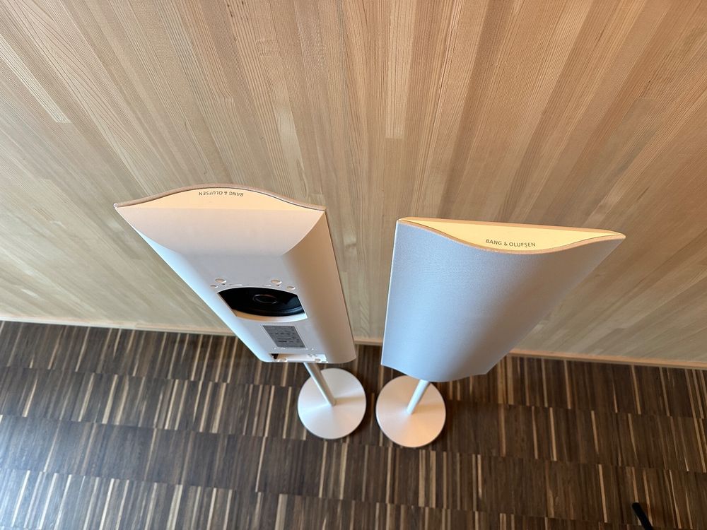 Bang&Olufsen BeoLab 12-1 Lautsprecher (Gebraucht) in für CHF 280 – nur ...