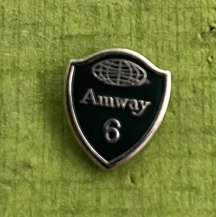 Amway 6 Pin | Kaufen auf Ricardo