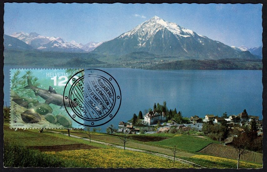 Maximumkarte EUROPA - Thunersee-Balchen (Neu (gemäss Beschreibung)) in ...