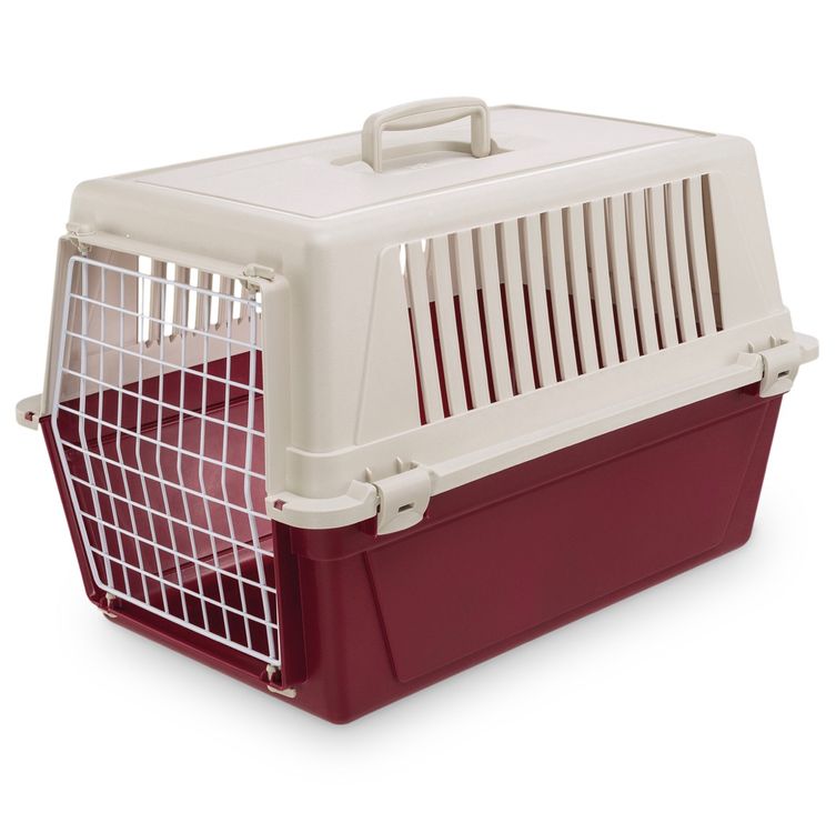 Hundebox Transportbox (neu) (Neu (gemäss Beschreibung)) in Wallisellen ...