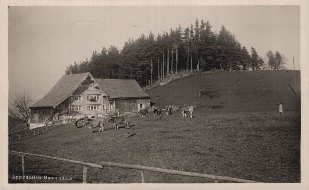 Appenzeller Bauernhaus, weidende Kühe (Gebraucht) in Bronschhofen für CHF 10 – mit Lieferung auf ...