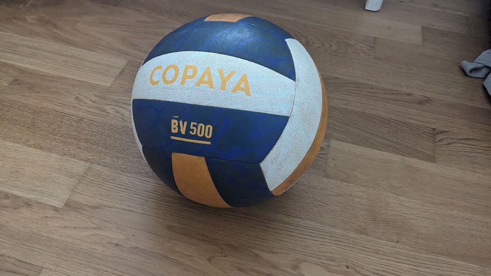 Beachvolleyball BV500 | Kaufen auf Ricardo