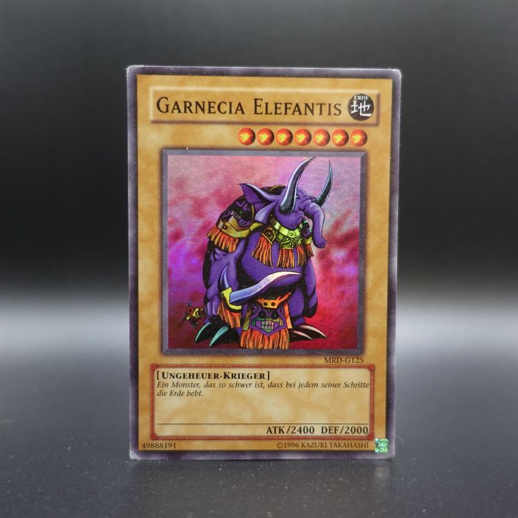 Garnecia Elefantis | Kaufen auf Ricardo