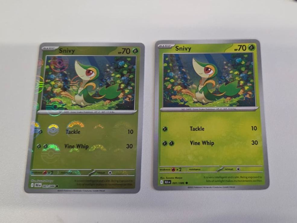 Pokemon Black Bolt (Snivy ) 001 (Neu (gemäss Beschreibung)) in ...