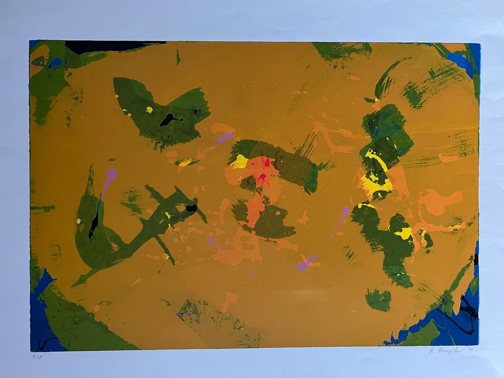 H. Hunziker, handsigniert, nummeriert (Gebraucht) in Rain für CHF 29 – mit Lieferung auf Ricardo ...