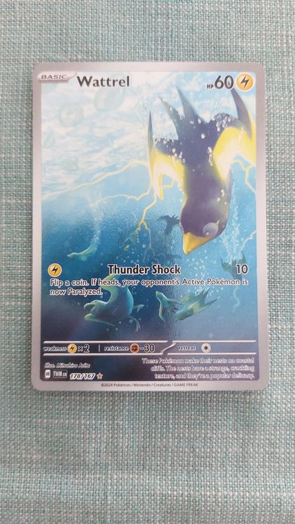 Wattrel Illustration Rare Twilight Masquerade (Neu (gemäss Beschreibung ...