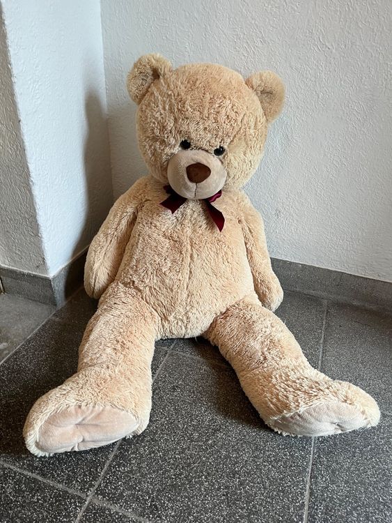 Teddybär, 1m gross | Kaufen auf Ricardo