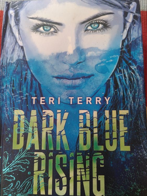 Dark Blue Rising - Jugendbuch von Teri Terry, Top! (Gebraucht) in ...
