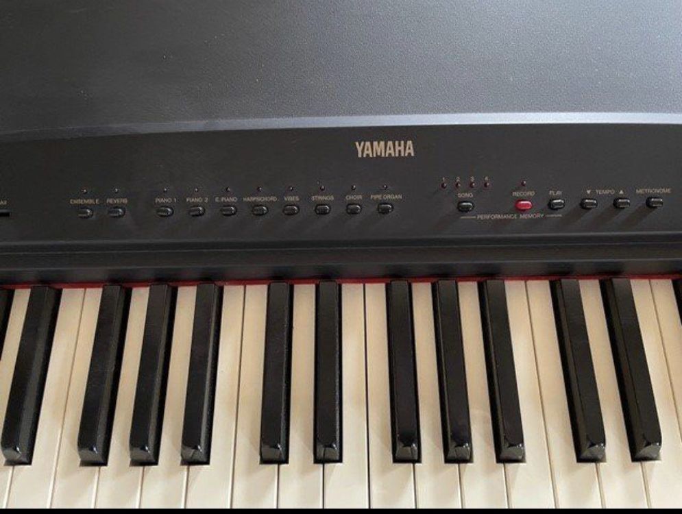 Yamaha E-Piano Keyboard YPP-55 Keyboard mit Ständer | Kaufen auf Ricardo