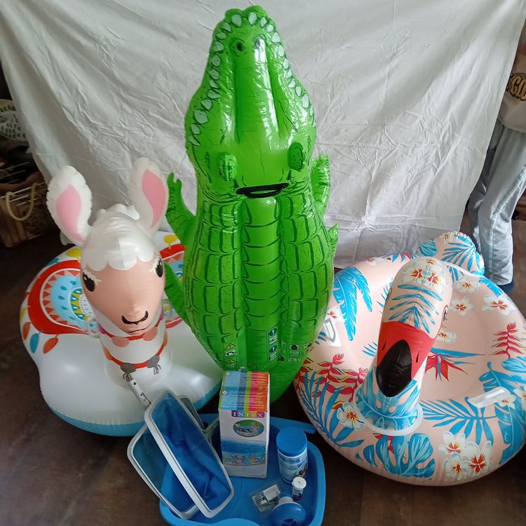 Badespass-Set Flamingo Krokodil Lama Planschbecken,Pool.. (Neu (gemäss ...