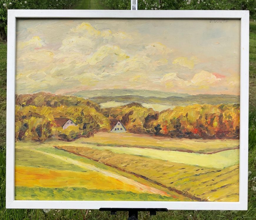 Landschaft | Kaufen auf Ricardo