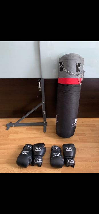 Hammer Boxing Box-Set + Everlast Wandhalterung (Gebraucht) in für CHF ...
