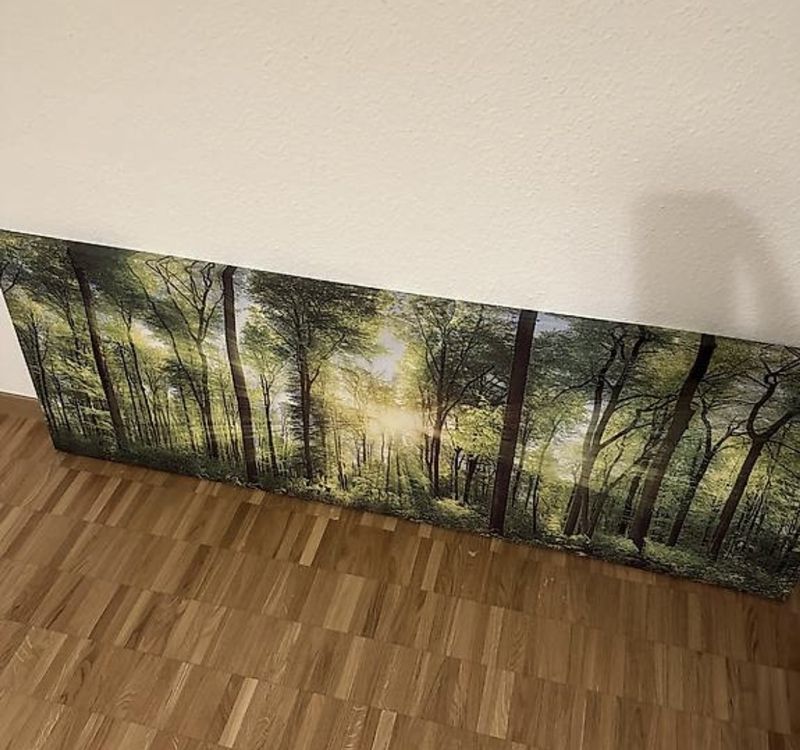 Waldbild (Gebraucht) in Adliswil für CHF 1 – nur Abholung auf Ricardo ...