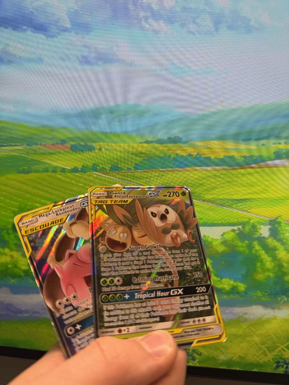 🌟Pokémon TAG TEAM GX Duo – Sammler-Bundle🌟 (Neu (gemäss Beschreibung ...