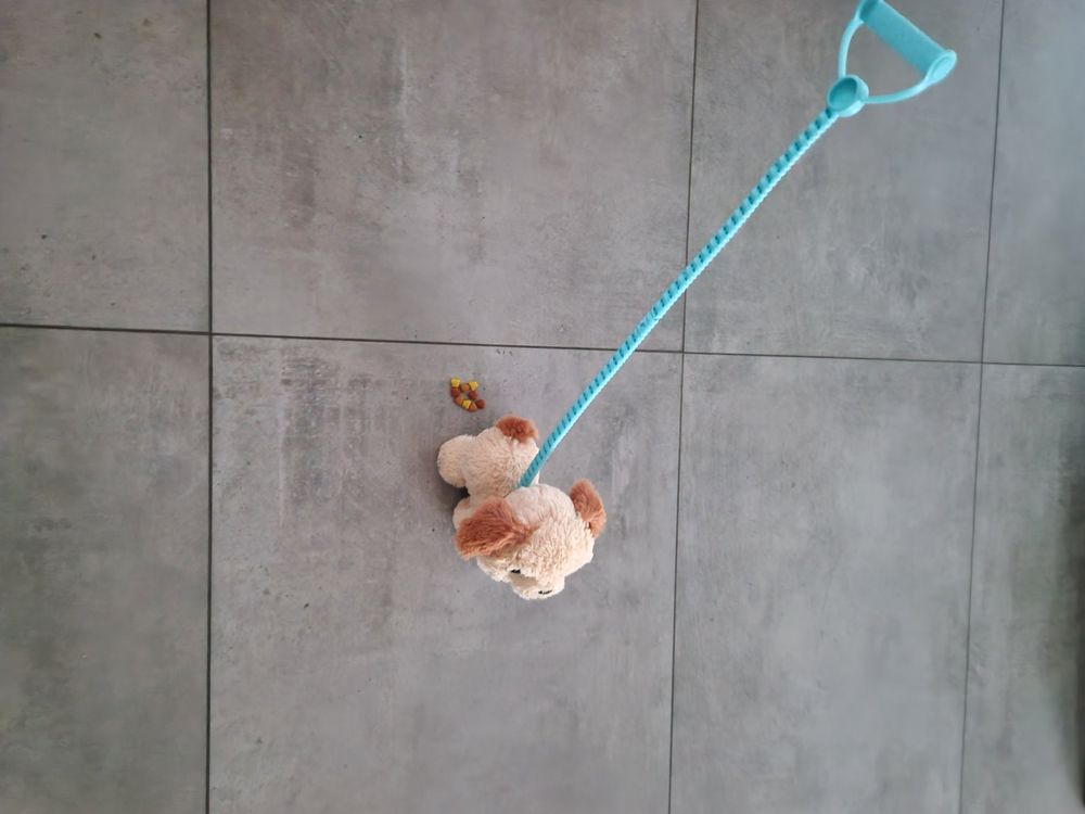 Interaktiver Plüschwelpe "Go Go" von FurReal Friends (Gebraucht) in ...