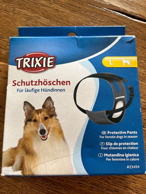 Hoschen Fur Laufige Hundin