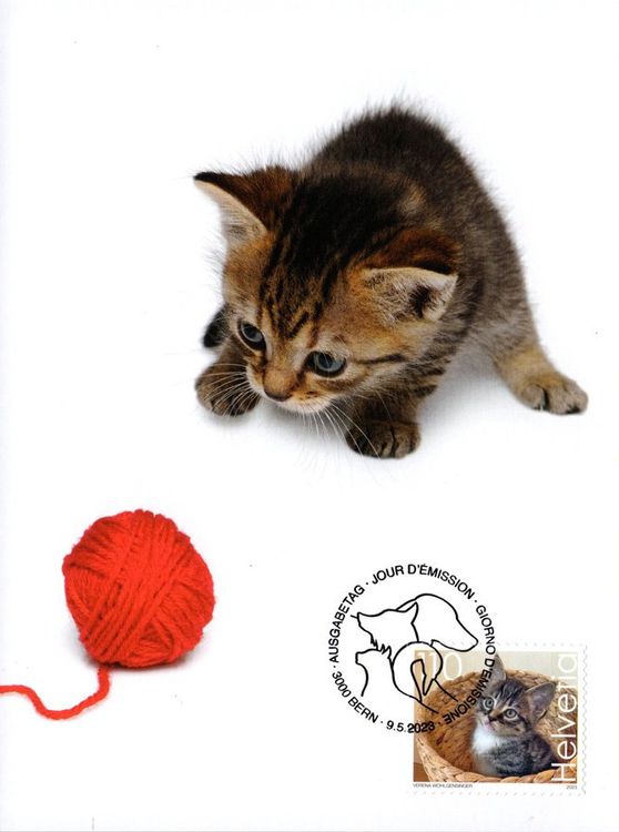 Maximumkarte Süsse Tiere - Katze (Neu (gemäss Beschreibung)) in Dottikon für CHF 4 – mit ...