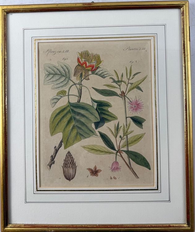 Antike Altkoloriete Kupferstich mit Echtgoldrahmen (Gebraucht) in Neuhausen am Rheinfall für CHF ...