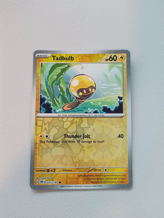 Tadbulb Blipp Obsidian Flames - Pokemon Reverse Holo (Gebraucht) in ...