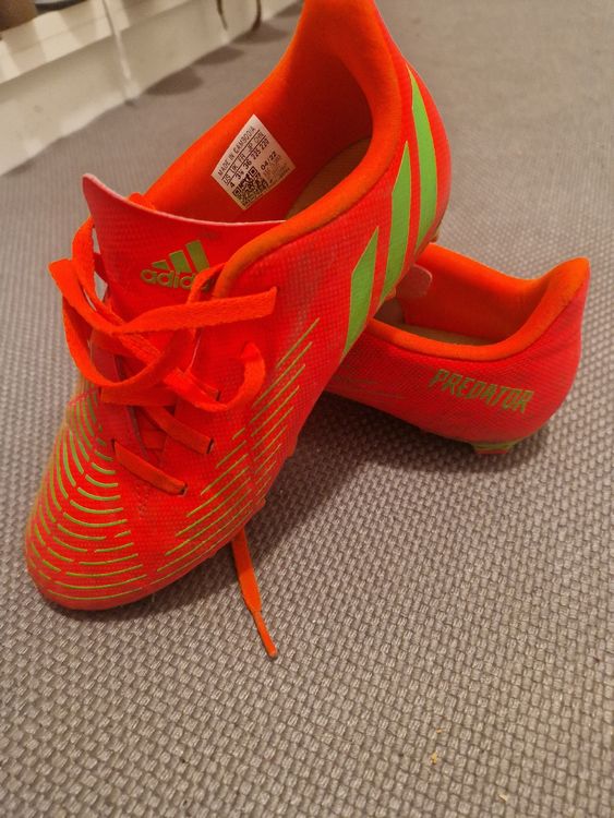 Fussballschuhe Adidas Predator Gr. 36 | Kaufen auf Ricardo