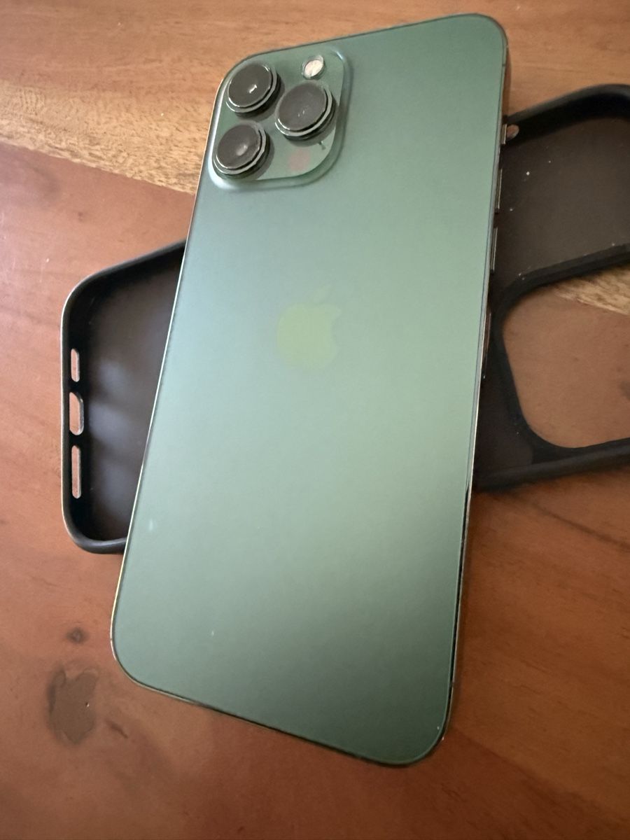 iPhone 13 Pro Max 256 GB ab 1 CHF (Gebraucht) in Pratteln für CHF 201 ...