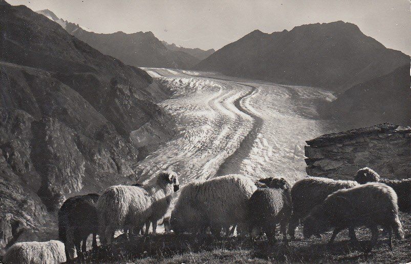 Belalp VS ob Blatten ob Naters - Gr. Aletschgletscher (Gebraucht) in Niedergesteln für CHF 5.6 ...