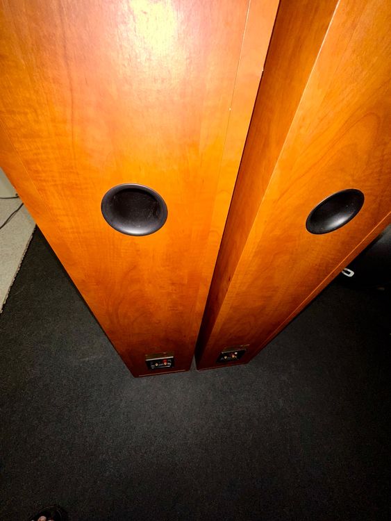 Dali Blue 6006 Stereo Lautsprecher (Gebraucht) in Aarau Rohr für CHF ...