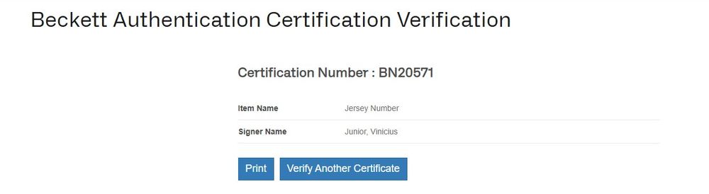 Vini JR - Brasilien Trikot - Beckett Zertifikat - Signiert (Neu (gemäss ...