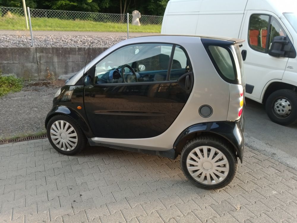 Smart | Kaufen auf Ricardo