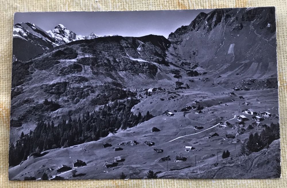 ANSICHTSKARTE BLUMENTAL MÜRREN (Gebraucht) in Ostermundigen für CHF 1.1 ...