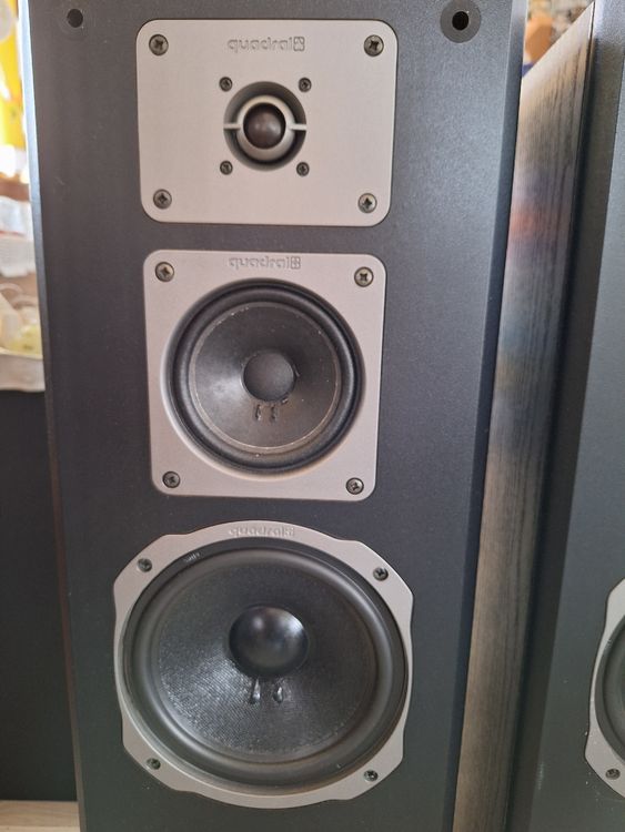 Boxen Quadral Odin MK II (Gebraucht) in Niederbipp für CHF 60 – nur Abholung auf Ricardo kaufen