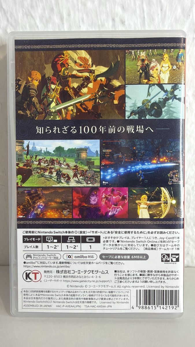 Hyrule - Nintendo Switch Game - Japanese version (Gebraucht) in ...
