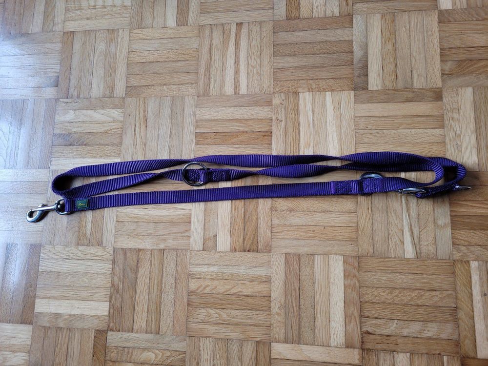 Violette Hunter Hundeleine | Kaufen auf Ricardo