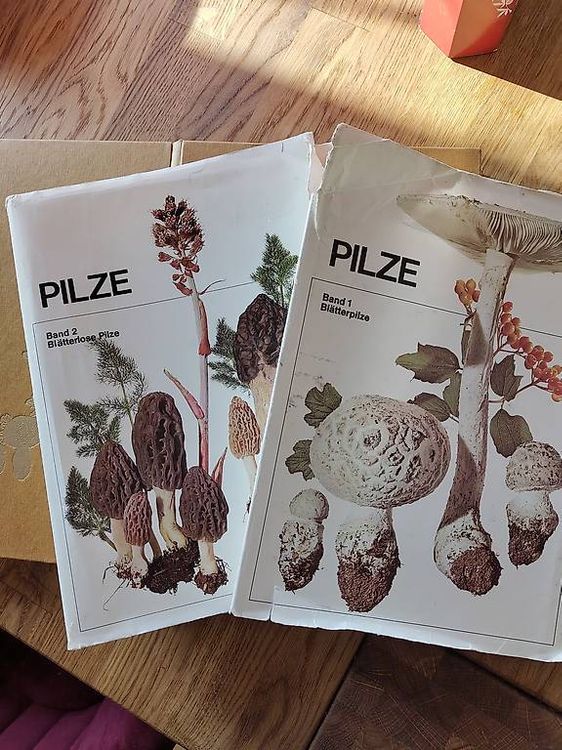 Zwei Antike Pilzbücher 130 Seiten (Gebraucht) in Zürich für CHF 35 ...