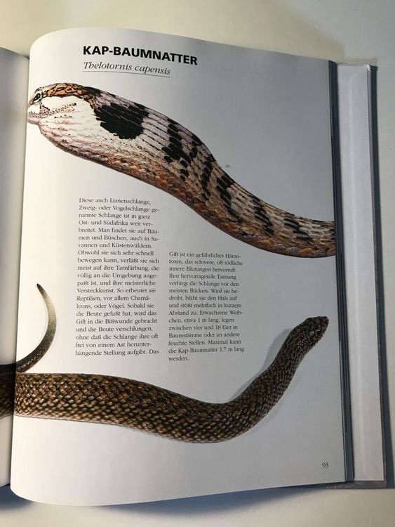 Die faszinierende Welt der Schlangen - Johan Marais (Gebraucht) in Therwil für CHF 7 – mit ...