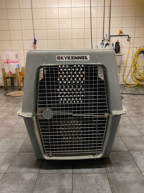 Hundebox Sky Kennel (Gebraucht) in Elgg für CHF 1 – nur Abholung auf ...