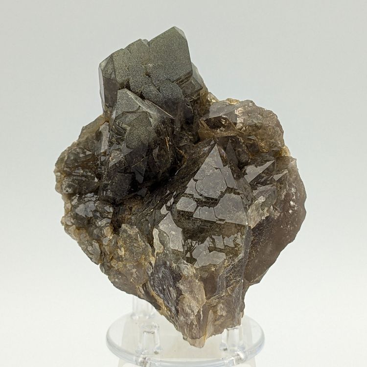 RAUCHQUARZ PLATT mit GRÜNEM CHLORIT, Mont Blanc (Nuovo (secondo la descrizione)) a Balerna per ...