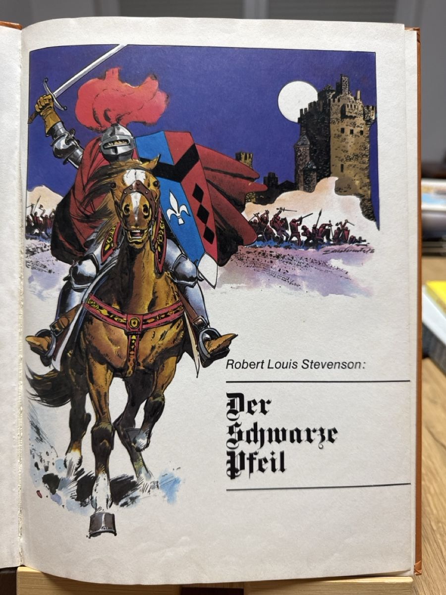 Der Schwarze Pfeil - Robert L. Stevenson, Top Zustand! (Gebraucht) in ...