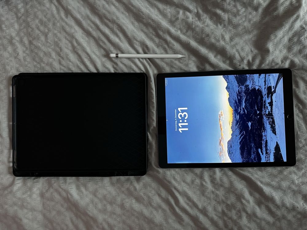 iPad Pro 12.9 (2nd Gen), 256GB mit Apple Pencil (Gebraucht) in ...